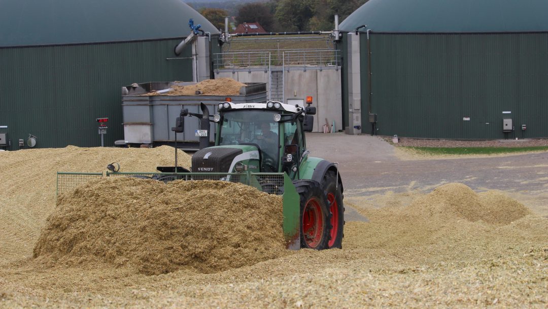 Silohaufen 3 | lu-zoeller.de